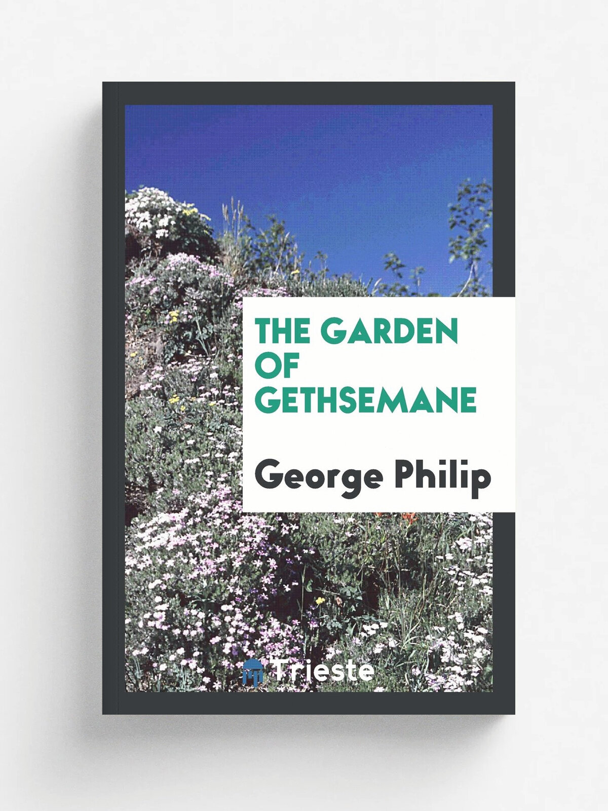 The garden of Gethsemane