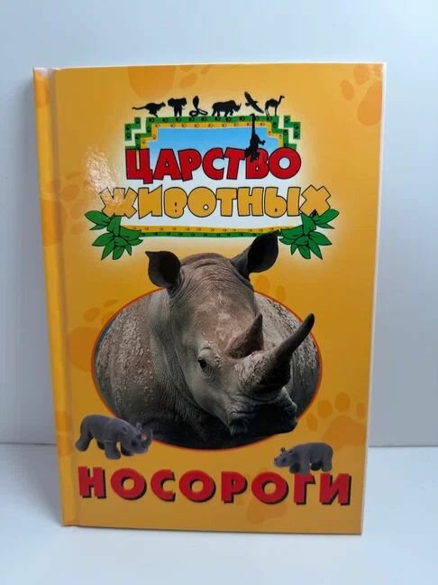 Царство животных. Носороги