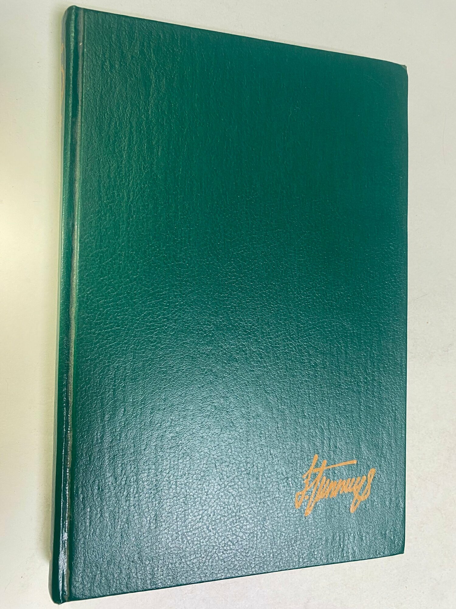 Живые лица. Стихи. Дневники. Книга 1. Гиппиус Зинаида Николаевна