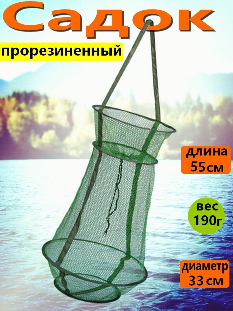 Beetle Садок, 55 см