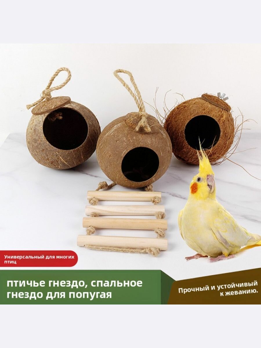 Гнездо для птиц из скорлупы кокоса с лестницей или креплением для клетки