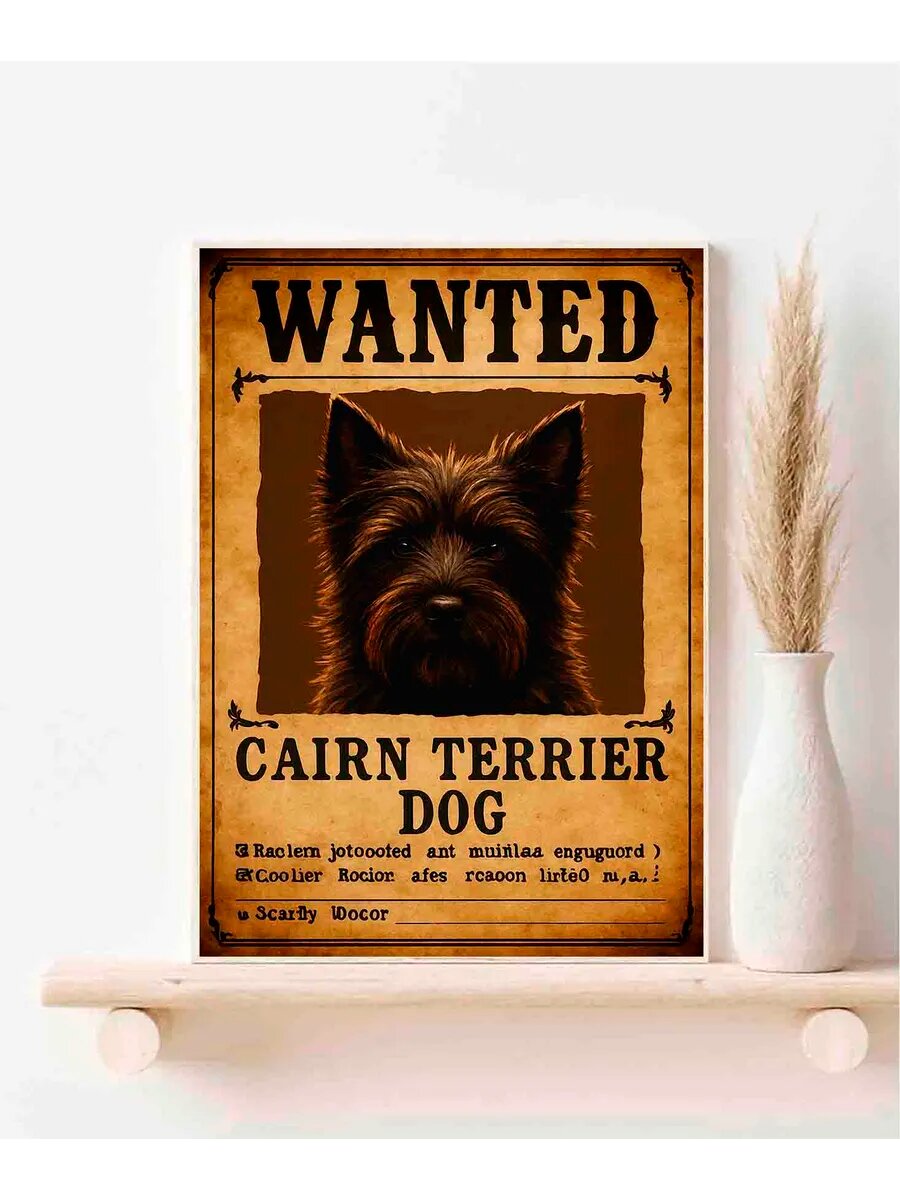 Собака породы Кэрн-терьер, Wanted, Плакат 30x42см
