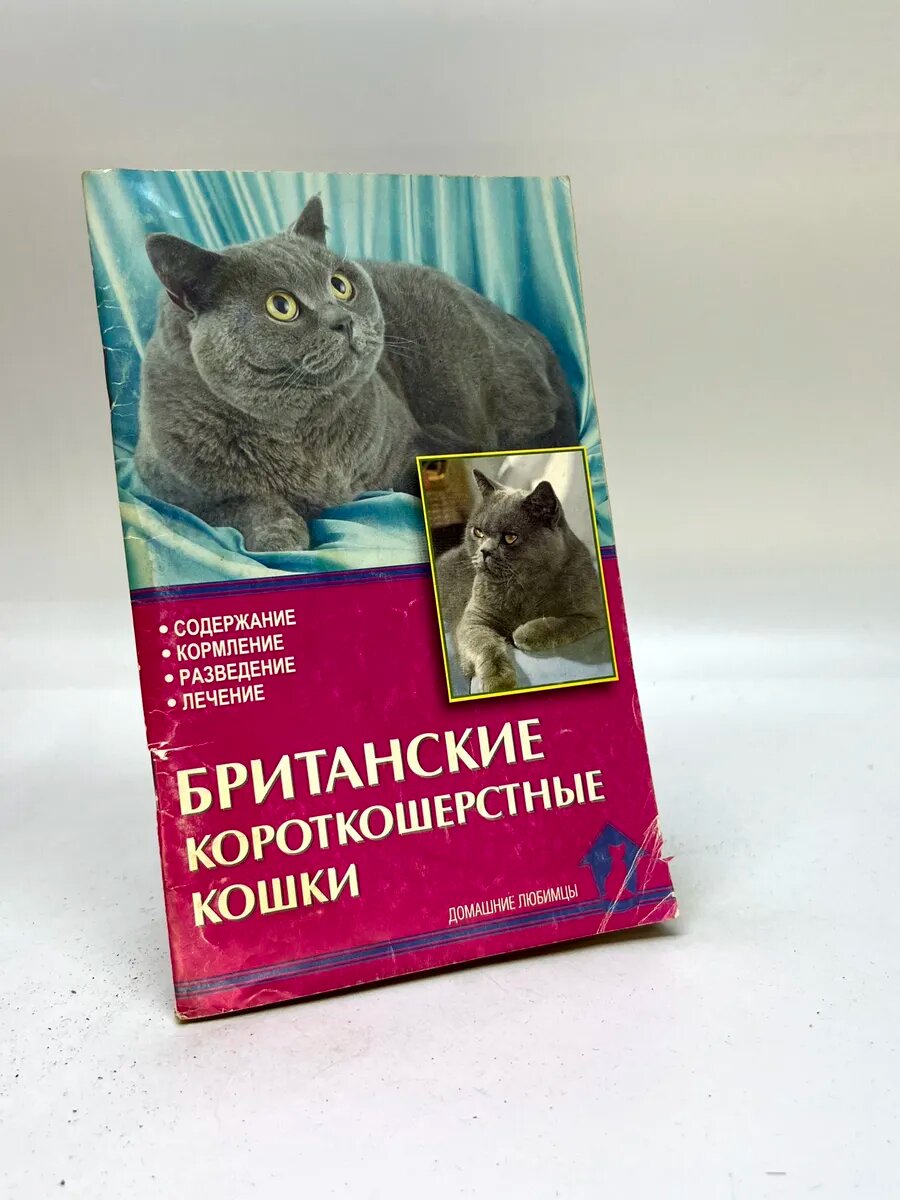 Британские короткошерстные кошки