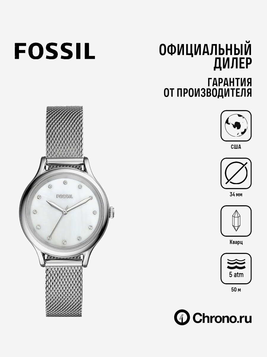  FOSSIL