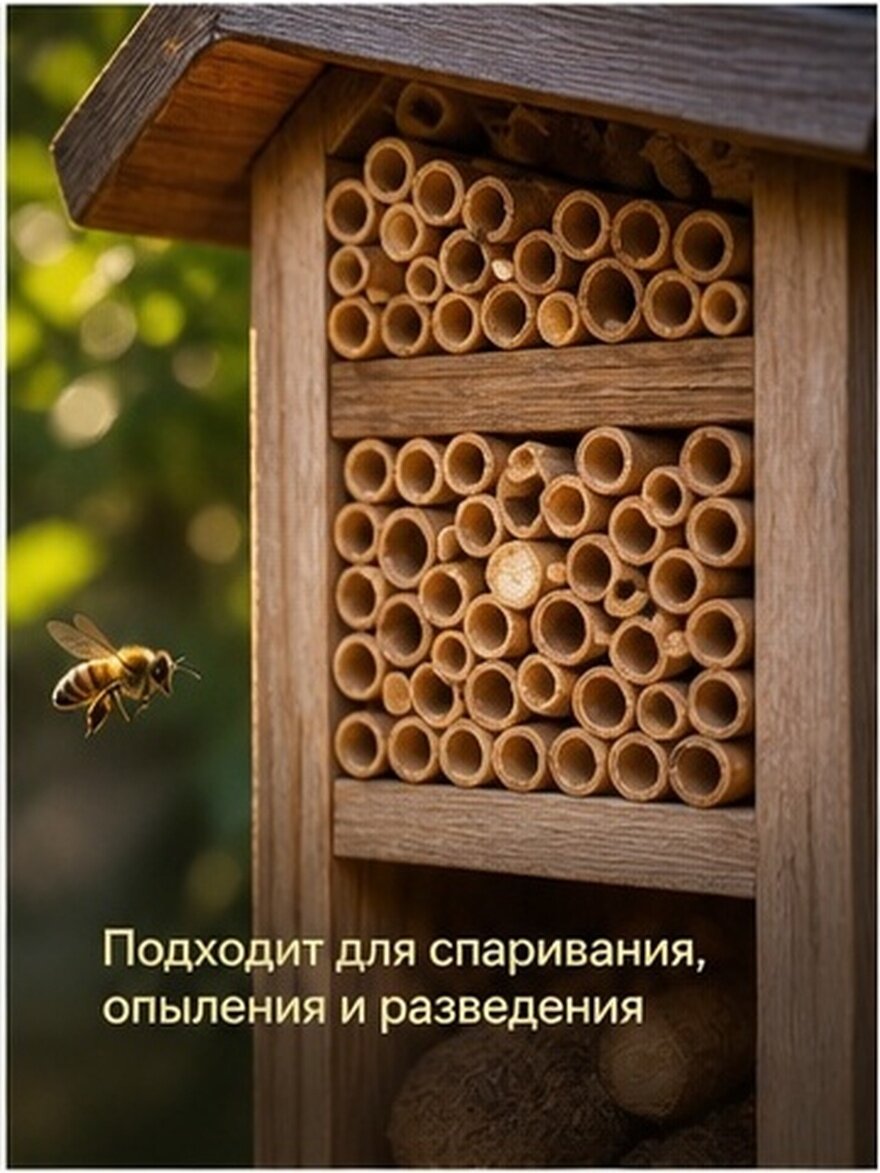 Трубочки Для Пчел Из Природного Тростника, Идеальны Для Размножения, 40 Штук 20.00X1.10X1.10Cm