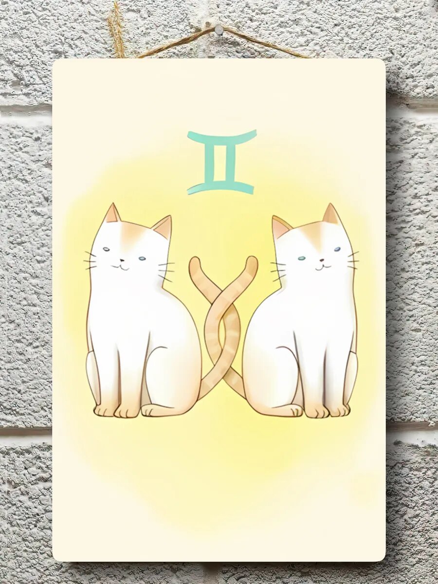 Близнецы кошка постер