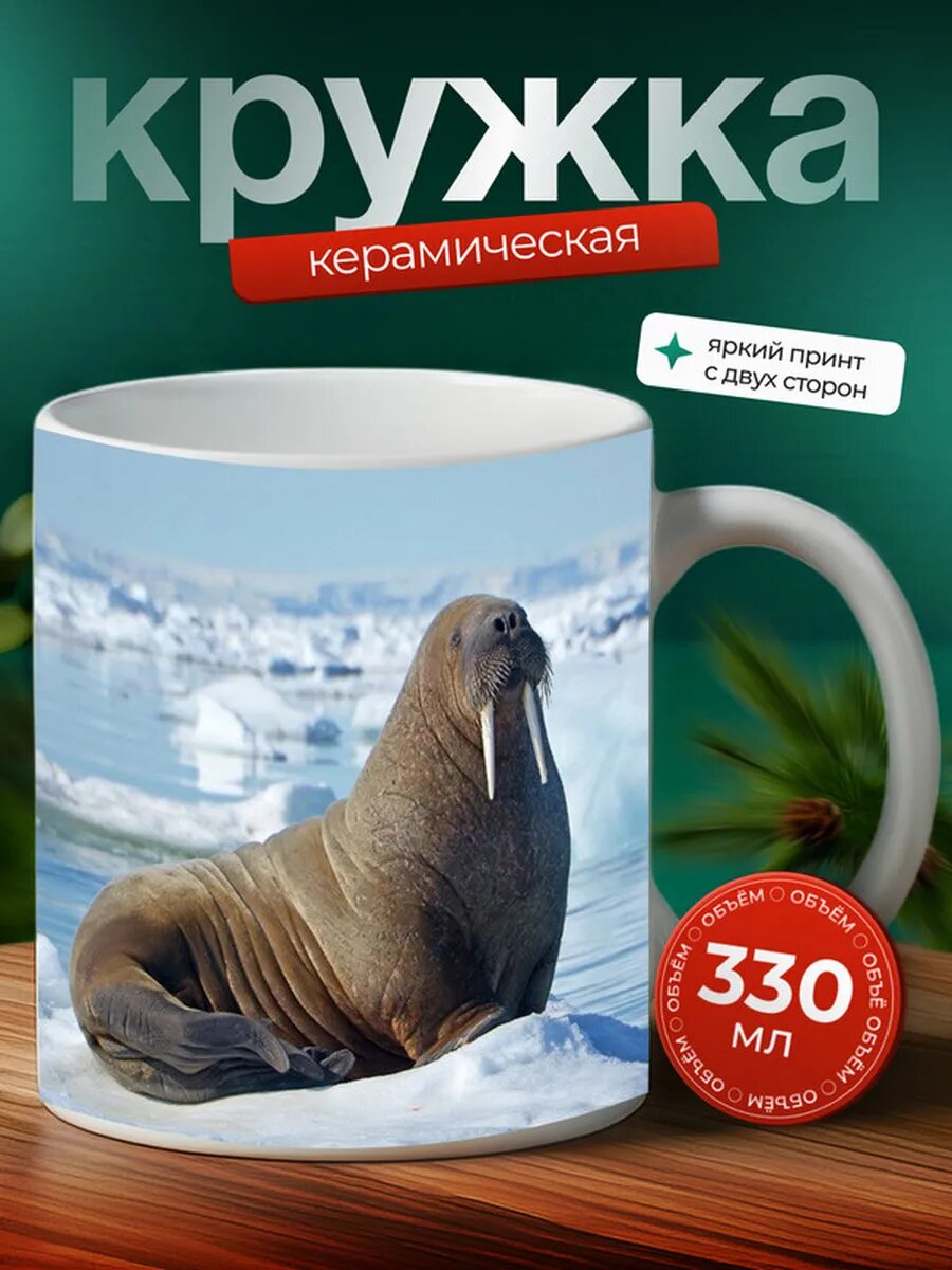 Кружка Нерпа животное 3,