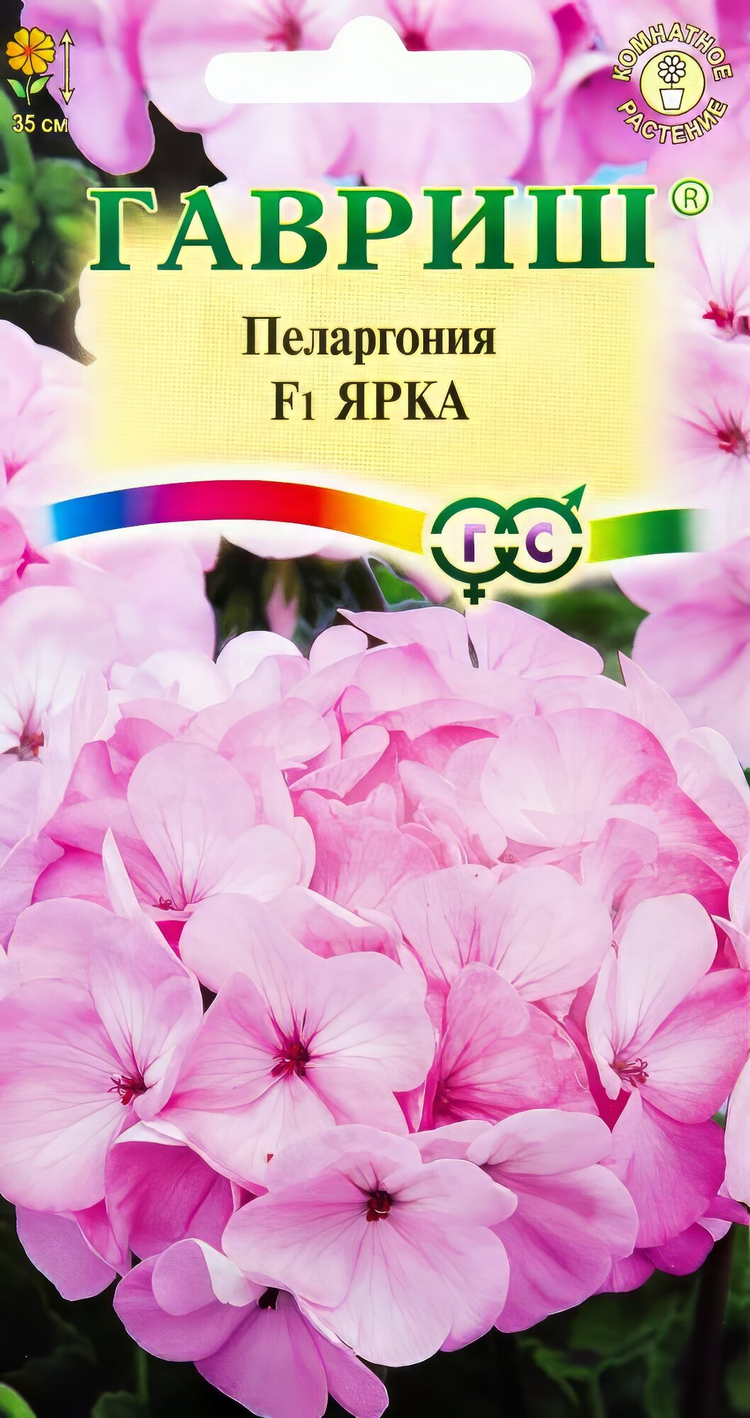 Пеларгония Ярка F1 зональная 4 шт