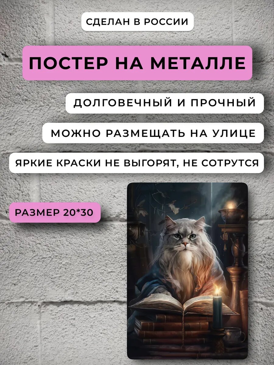 Постер котик Дамблдор — фото 1