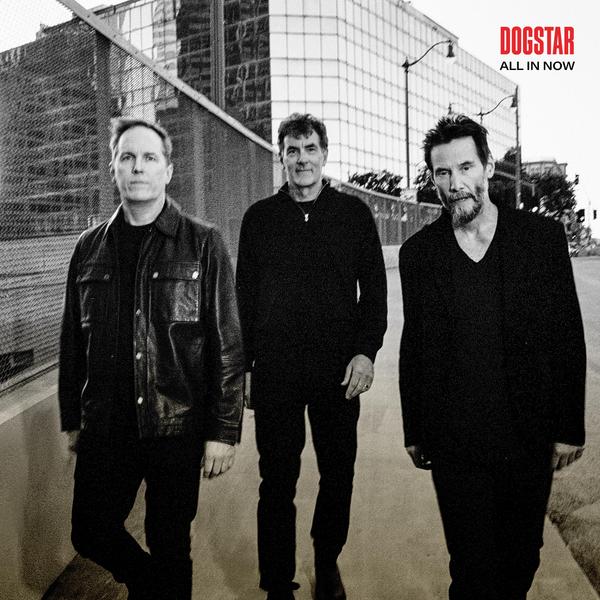Виниловая пластинка DOGSTAR – ALL IN NOW