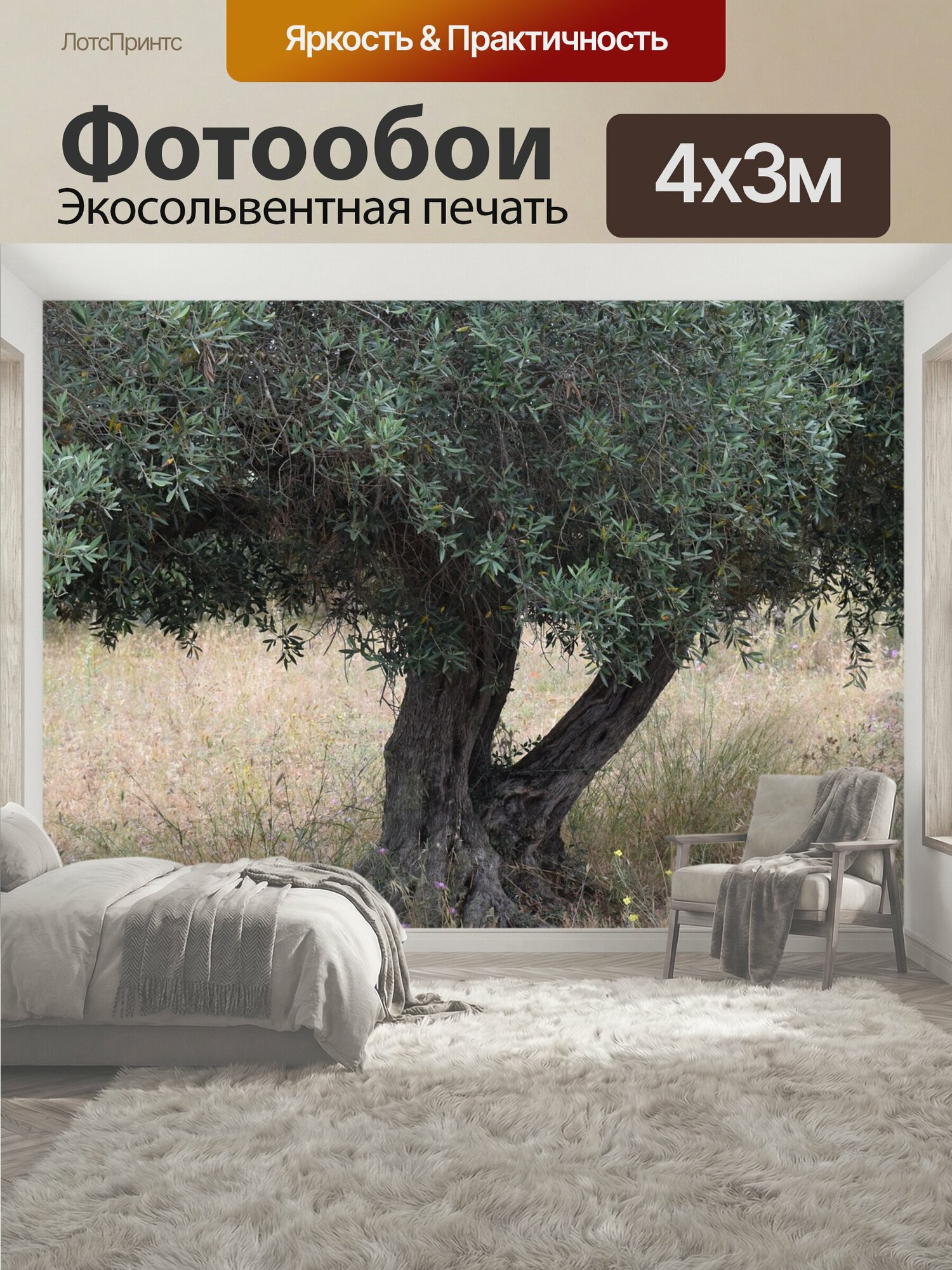 Фотообои "Оливковое дерево, дерево, старое дерево" 400x300 см. экосольвентная печать