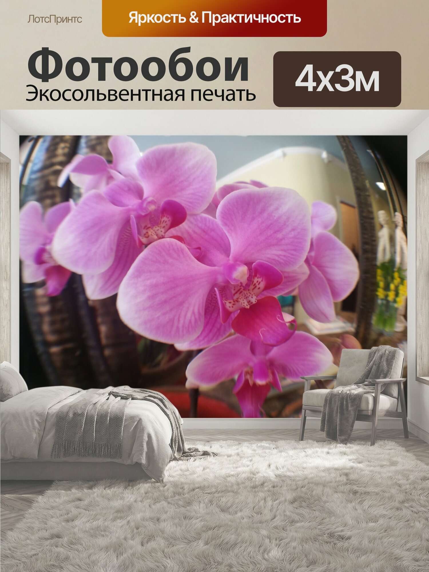 Фотообои "Орхидеи крупным планом Розовые цветы орхидеи крупным планом розовый орхидеи крупным планом цветы тропические" 400x300 см. экосольвентная печать