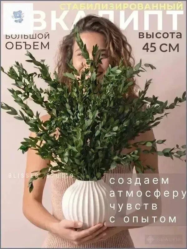 Сухоцветы Эвкалипт, 45 см, 150 гр, 1 шт
