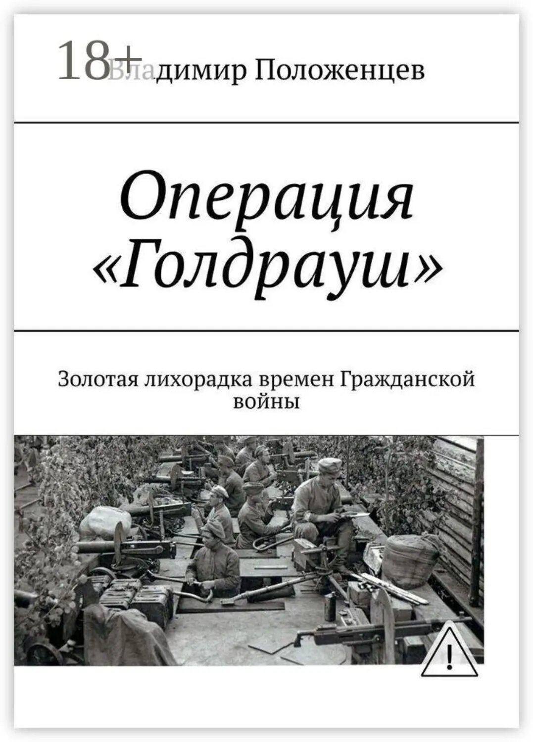 Операция «Голдрауш». «Золотая лихорадка» времен Гражданской войны [Цифровая книга]