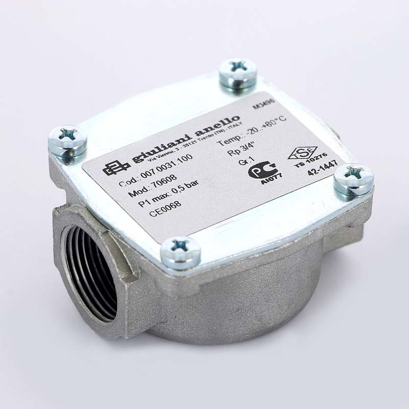 Фильтр газовый для серий FGB20 WATTS Ind 3/4" 0,5бар