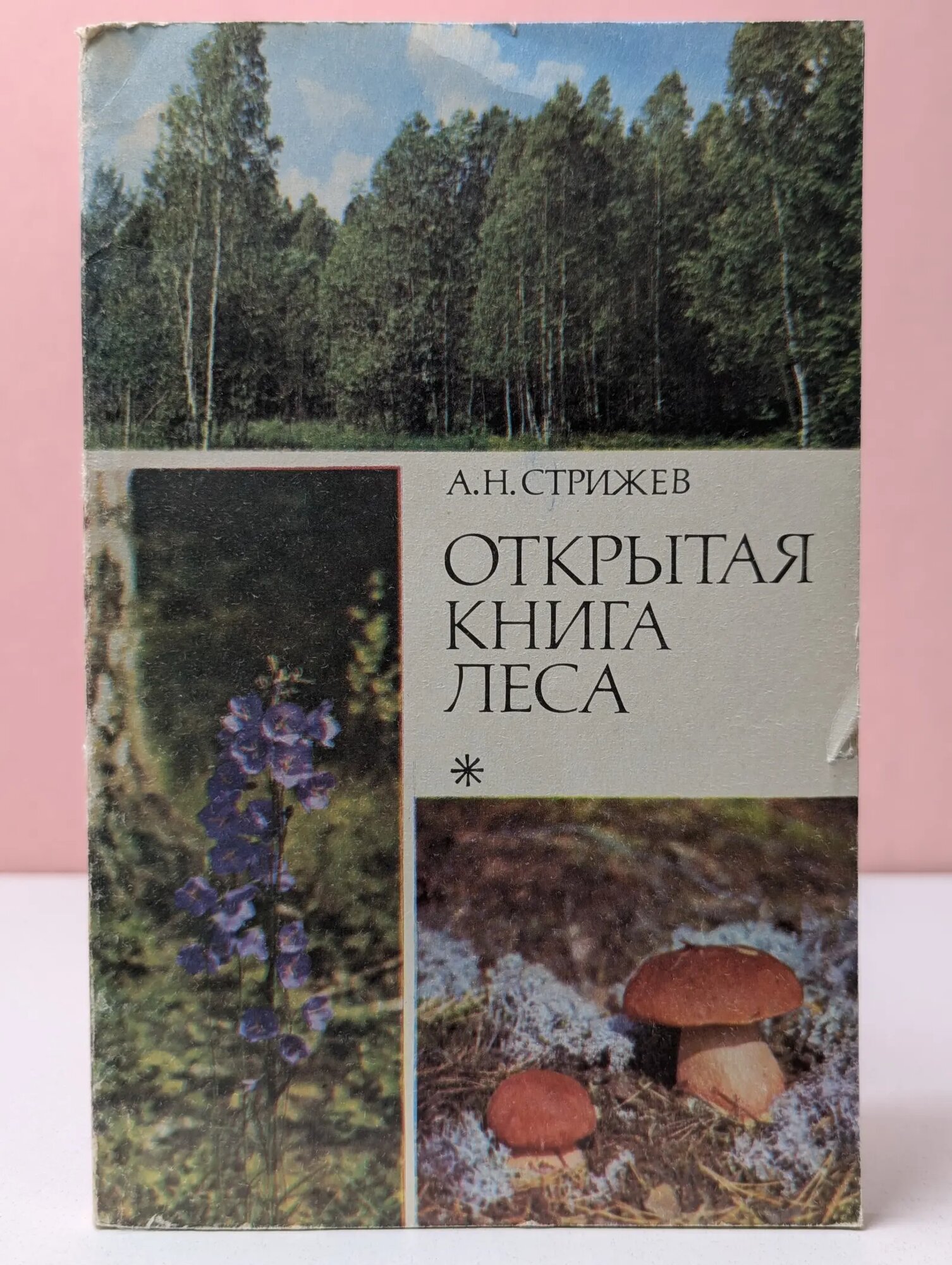 Открытая книга леса Стрижев Александр Николаевич 1977