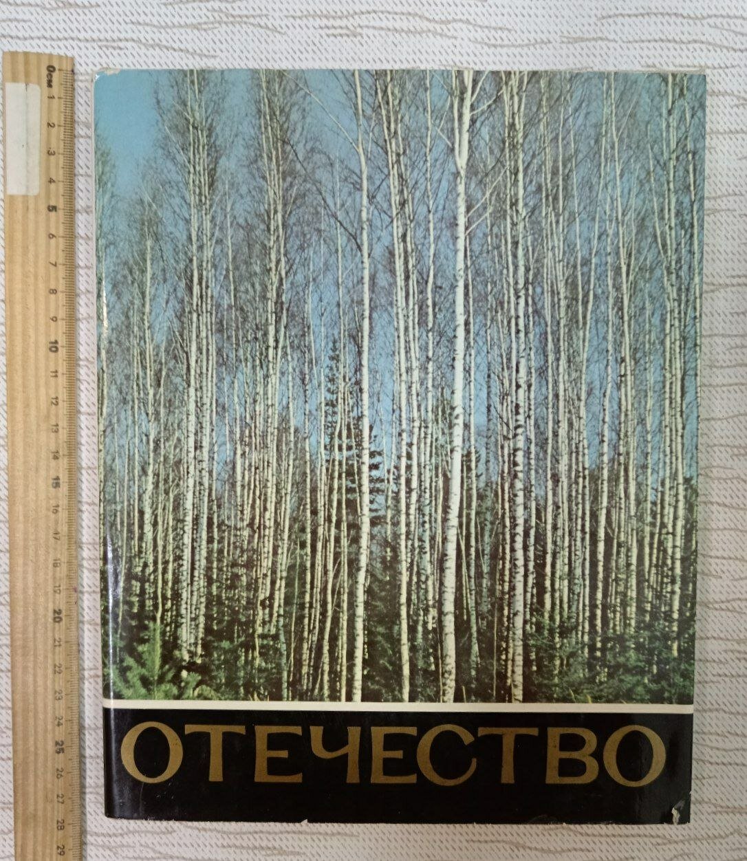 Отечество
