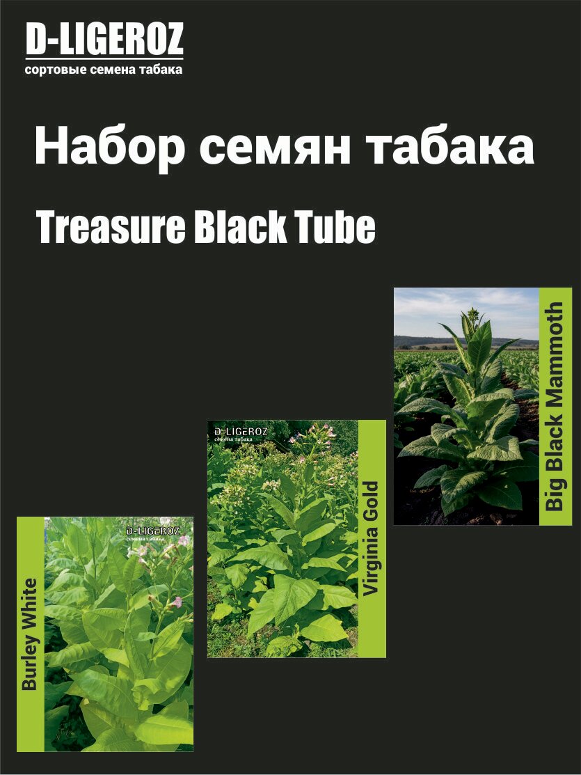 Набор семян табака Treasure Black Tube (3x500 шт)