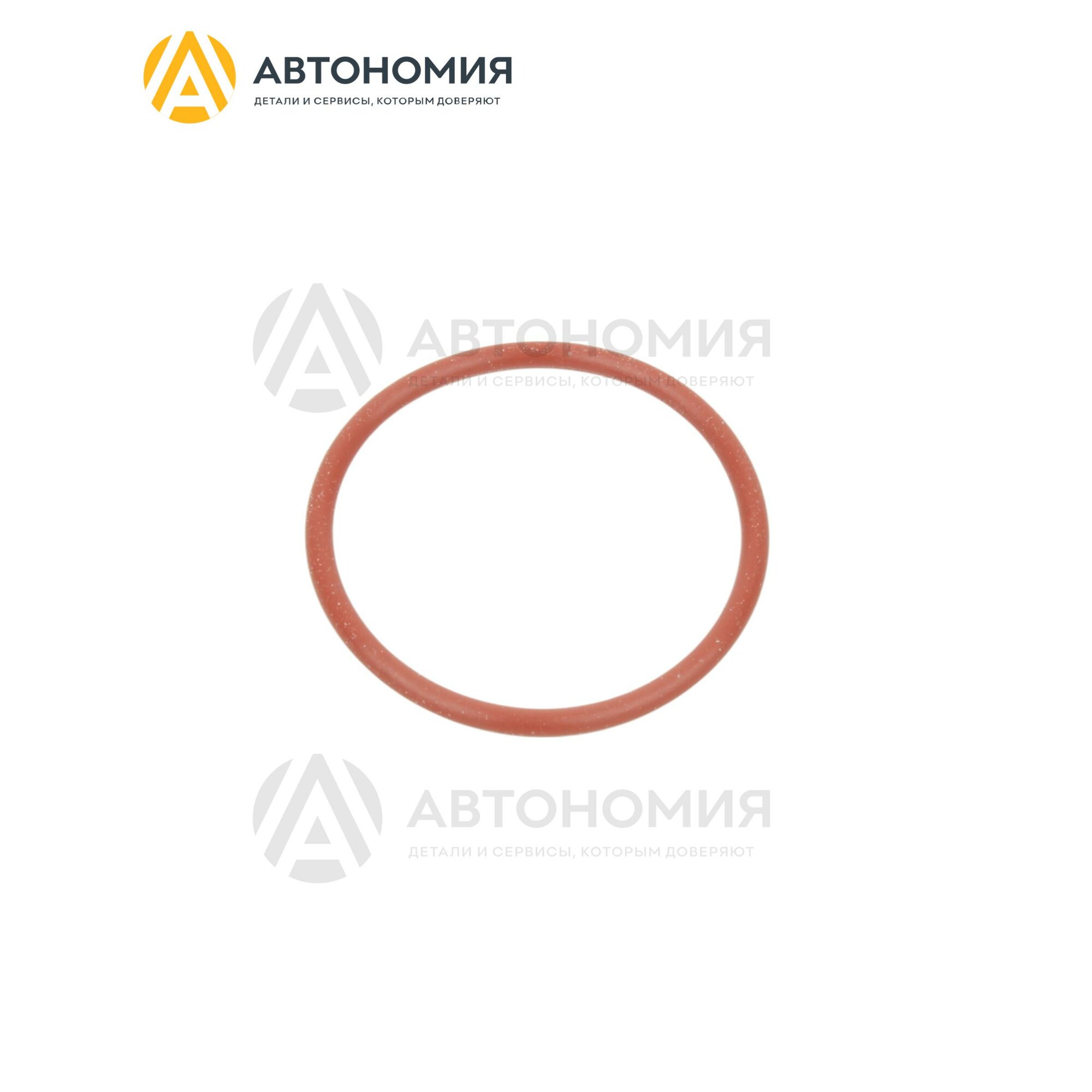Кольцо уплотнительное шестерни распредвала H1 02- Hyundai/KIA 23181-47280
