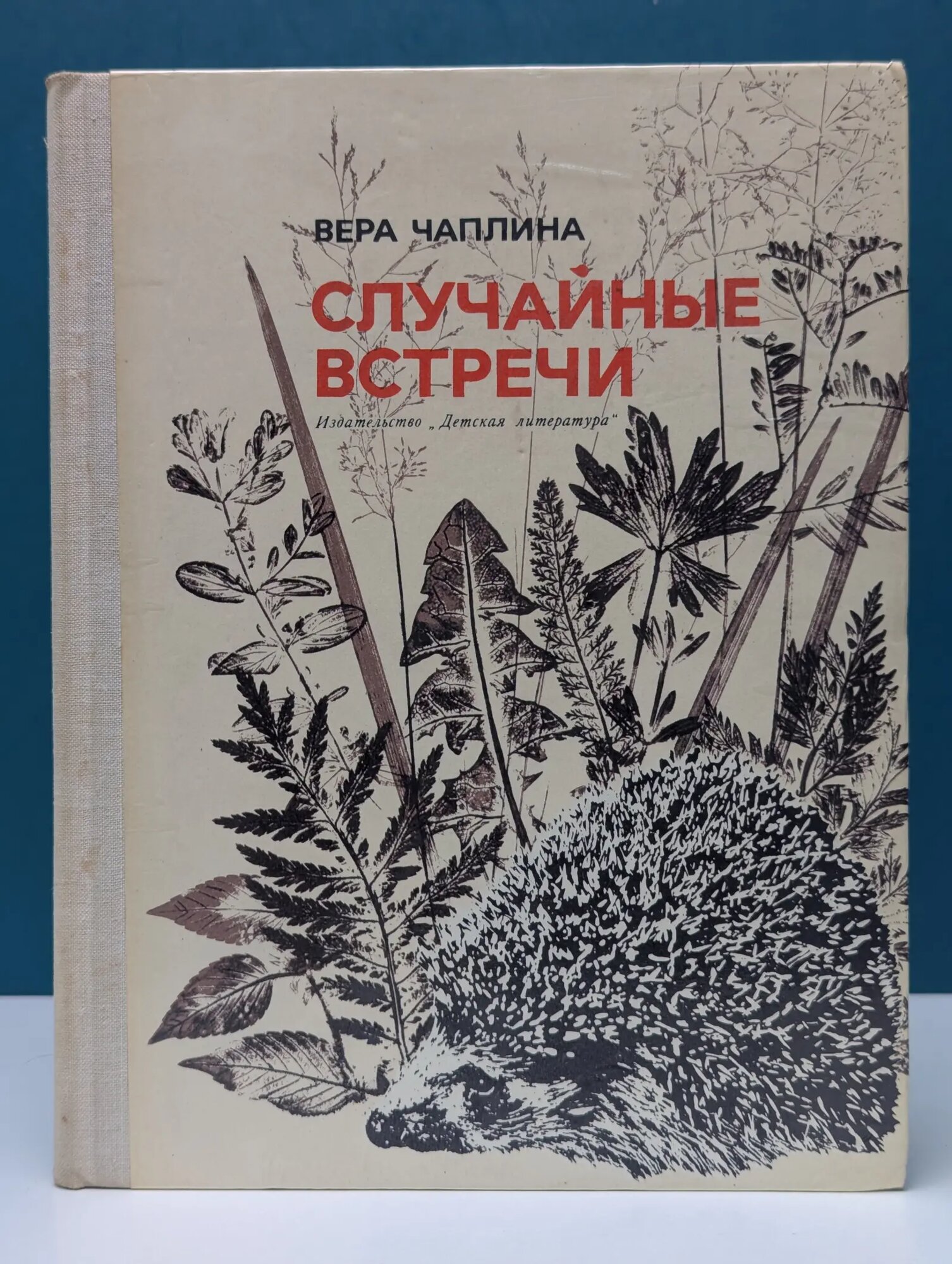 Случайные встречи Чаплина Вера Васильевна 1976