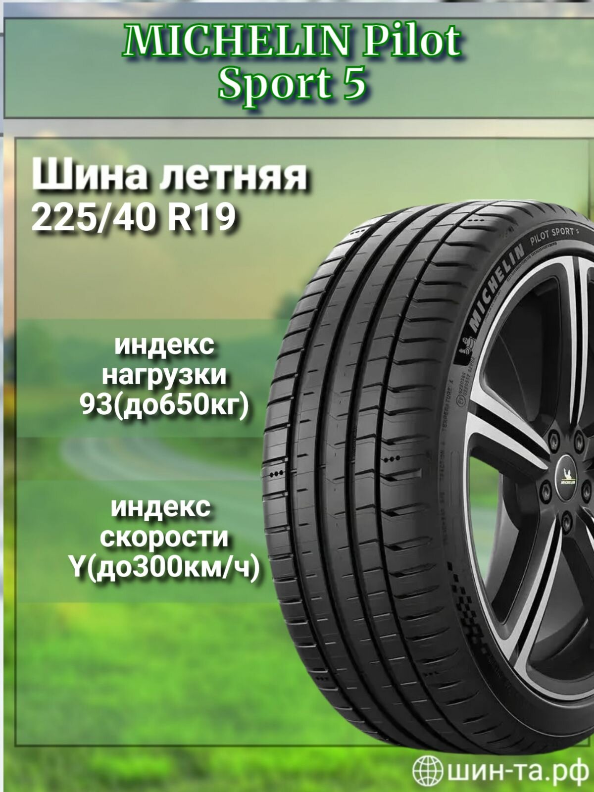 Шина легковая летняя Michelin Pilot Sport 5 225/40 ZR19 93(Y) TL