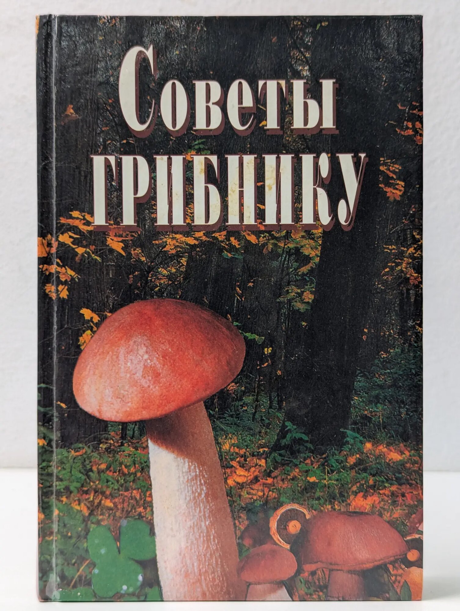 Дом и хозяйство. Советы грибнику Сборник 2000
