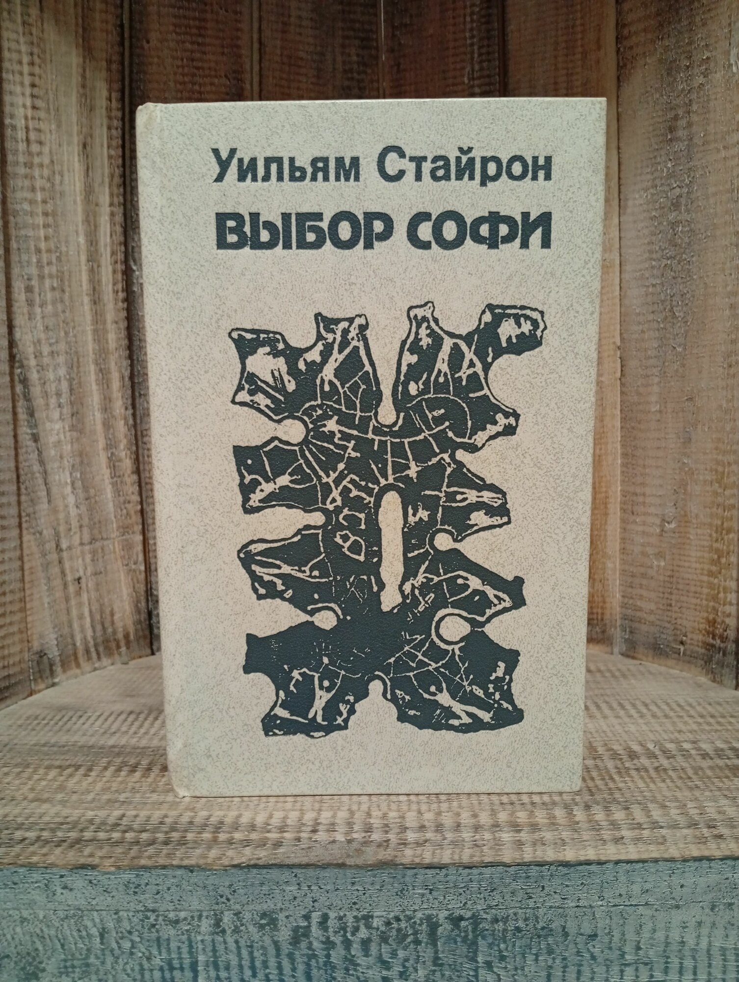 Выбор Софи