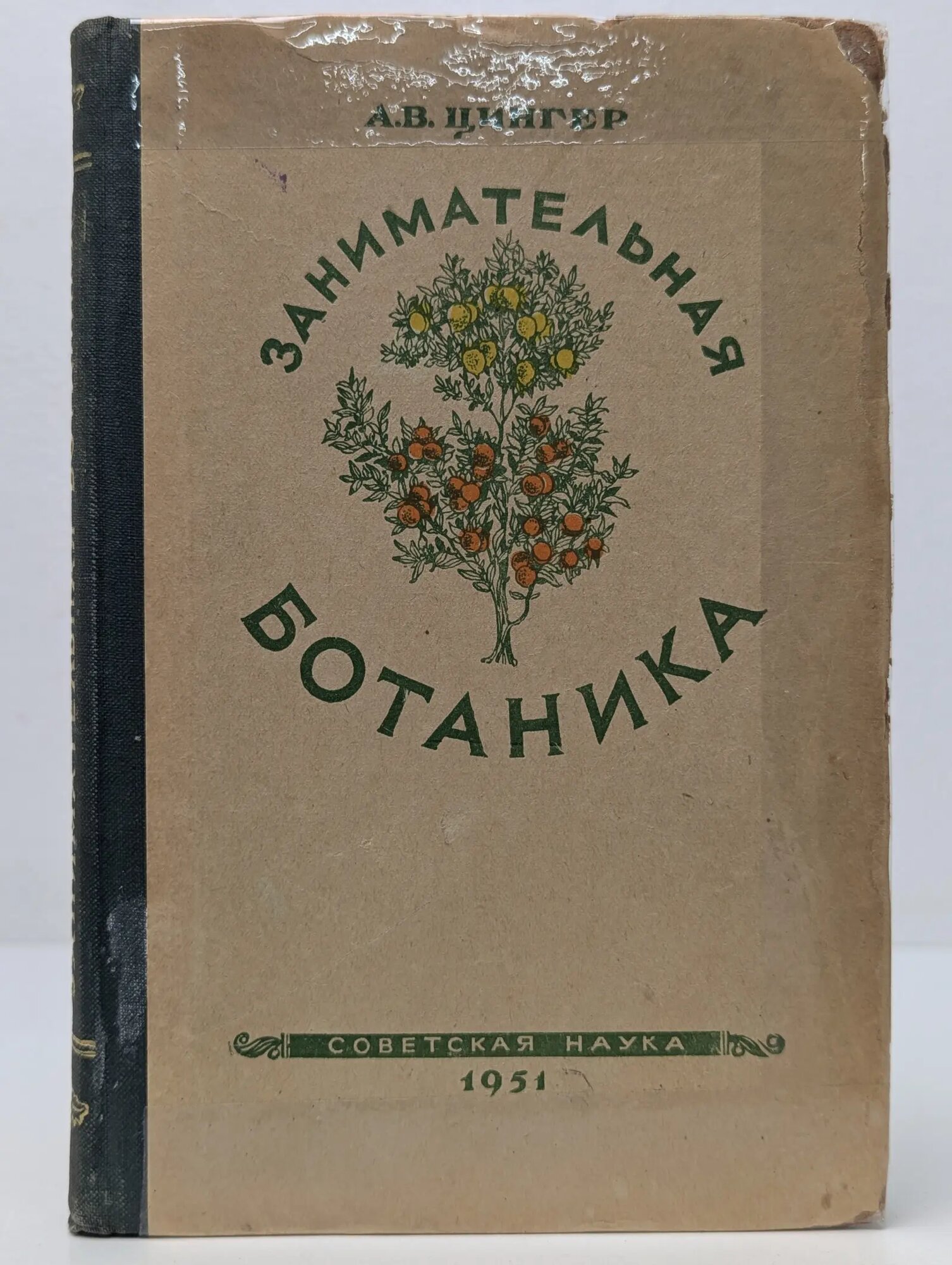 Занимательная ботаника Цингер Александр Васильевич 1951
