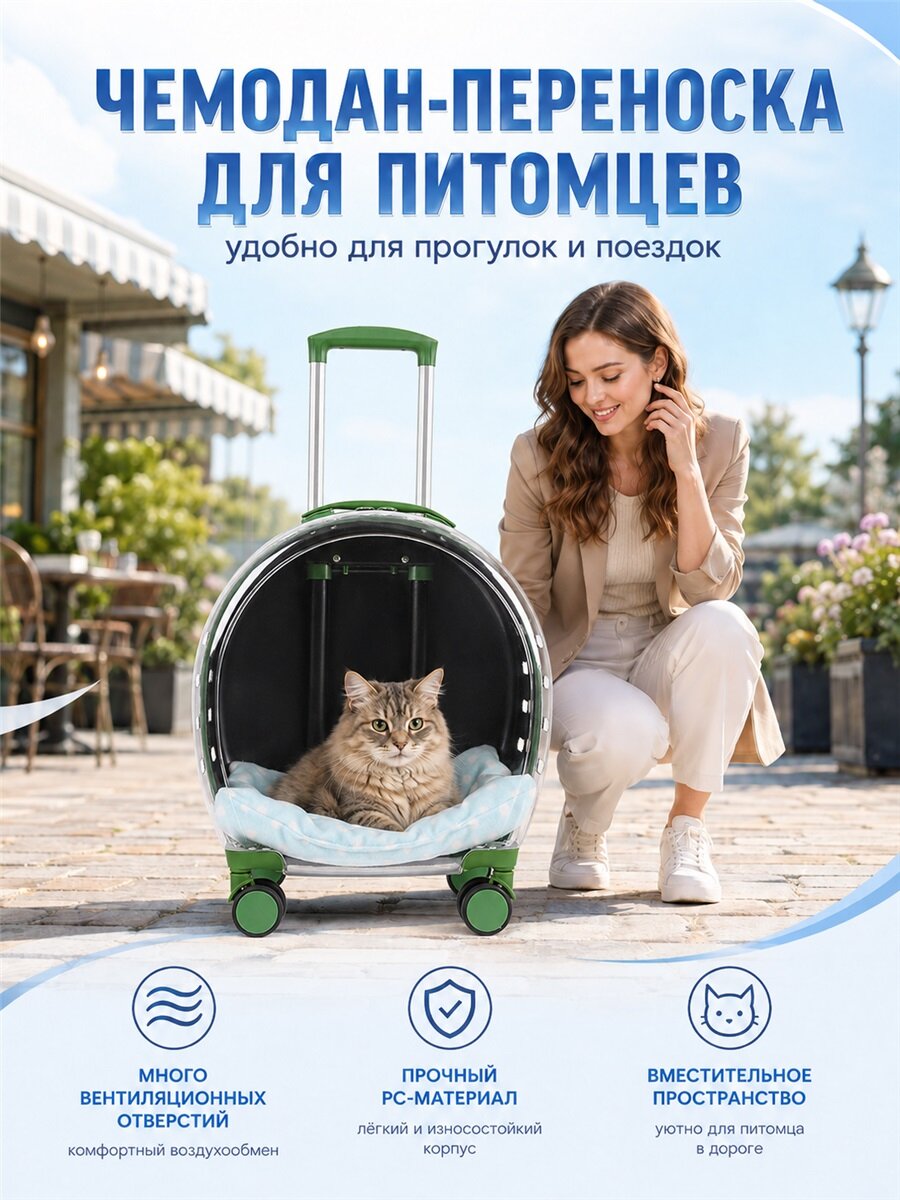 Чемодан‑переноска для питомцев с вентиляционными отверстиями, вместительный прозрачный контейнер на колёсах, удобный аксессуар для путешествий с котом или собакой