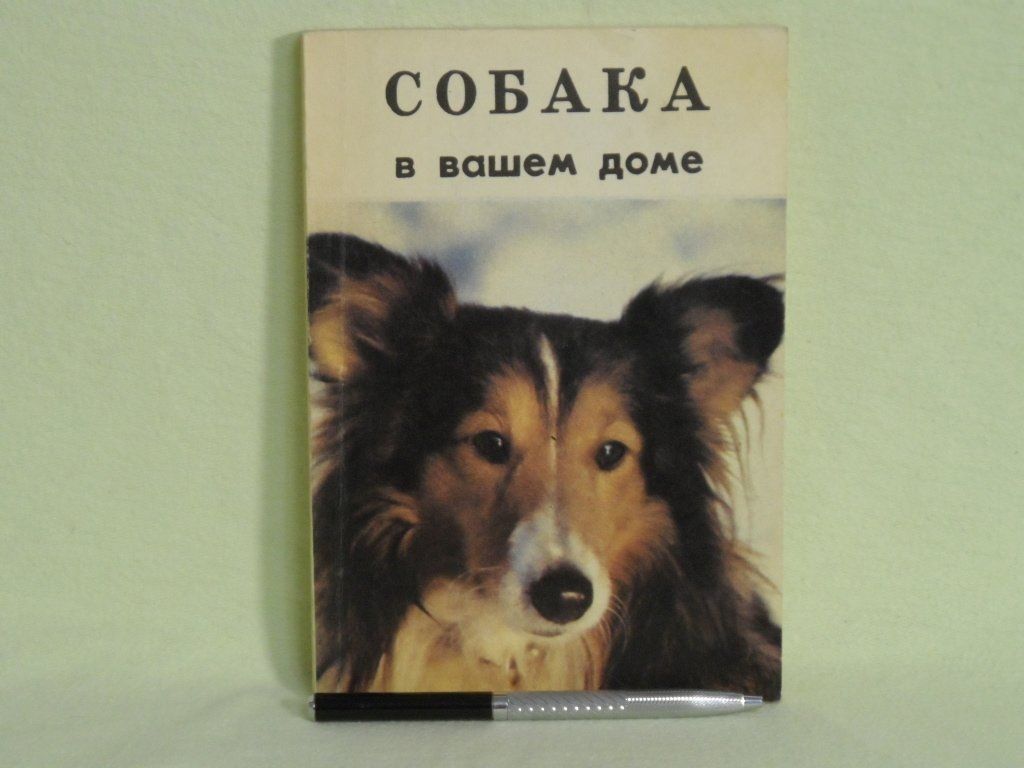 Собака в вашем доме