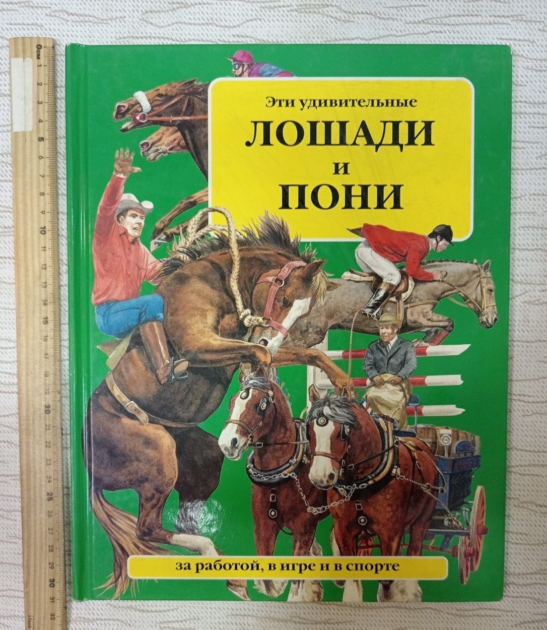 Эти удивительные лошади и пони за работой, в игре и в спорте.