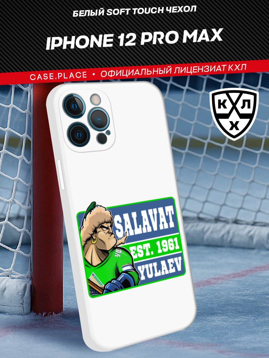 Чехол на Apple iPhone 12 Pro Max / Айфон 12 Про Макс с принтом "Талисман Салават Юлаев"