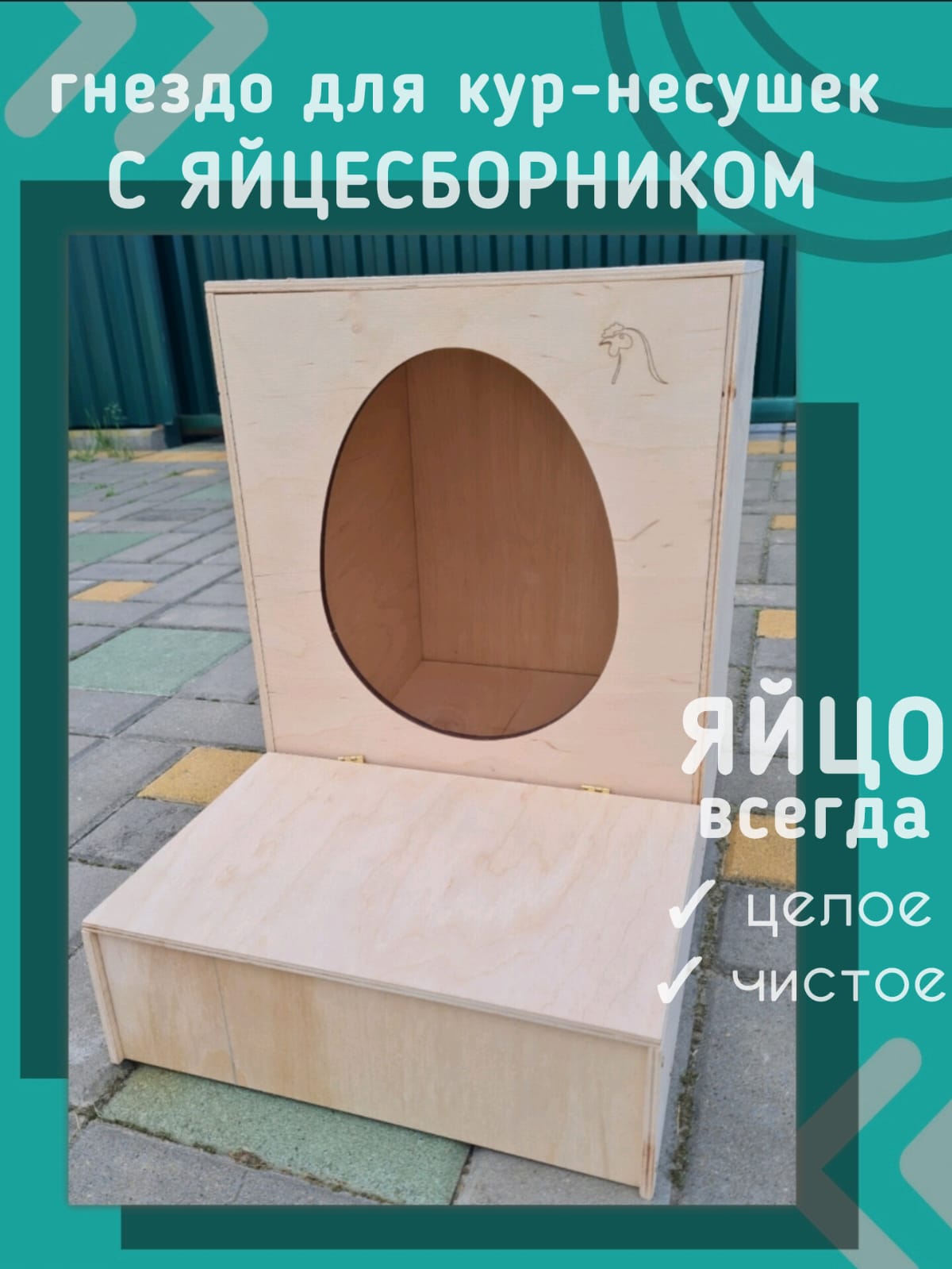 Гнездо для кур-несушек с яйцесборником