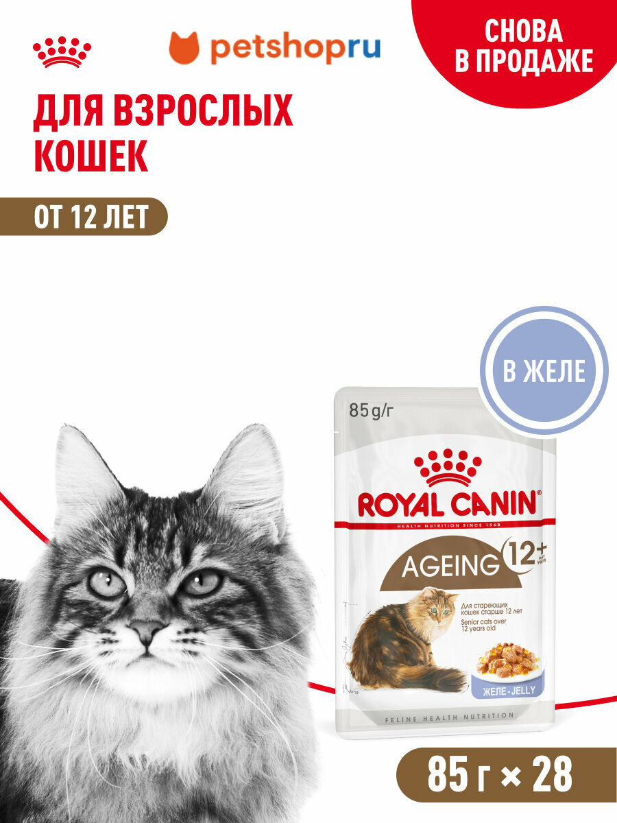 Паучи для кошек старше 12 лет, кусочки в желе, Ageing 12+