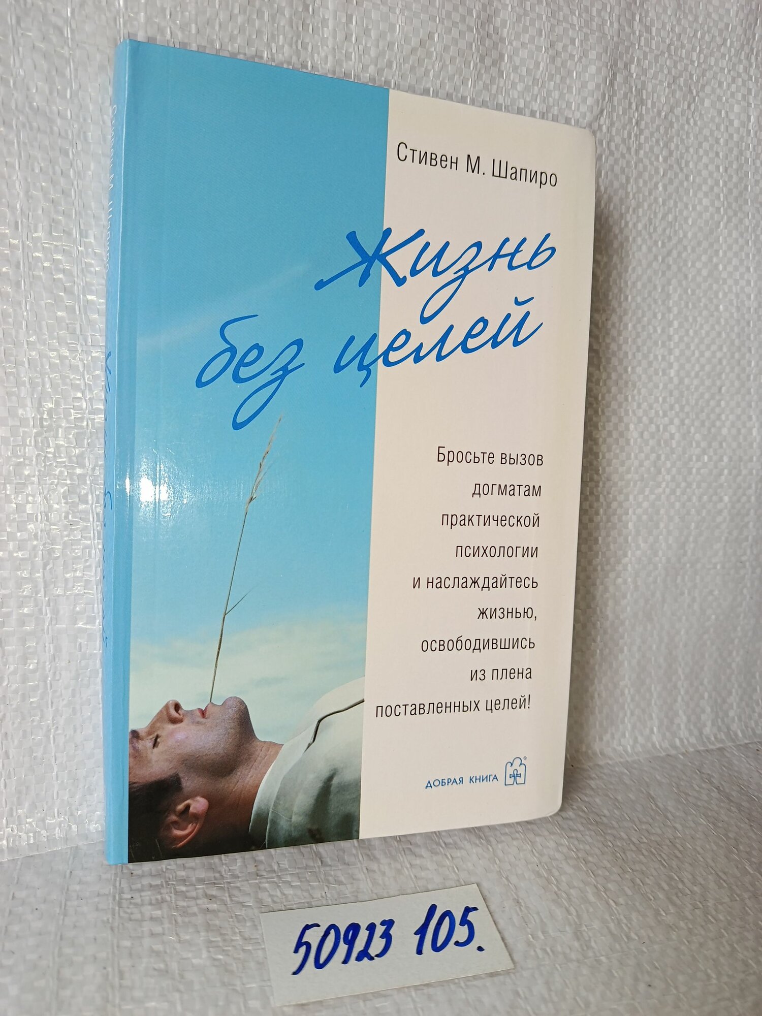 Жизнь без целей. Бросьте вызов догмам практической психологии и наслаждайтесь жизнью, освободившись из плена поставленных целей! Шапиро Стивен М.