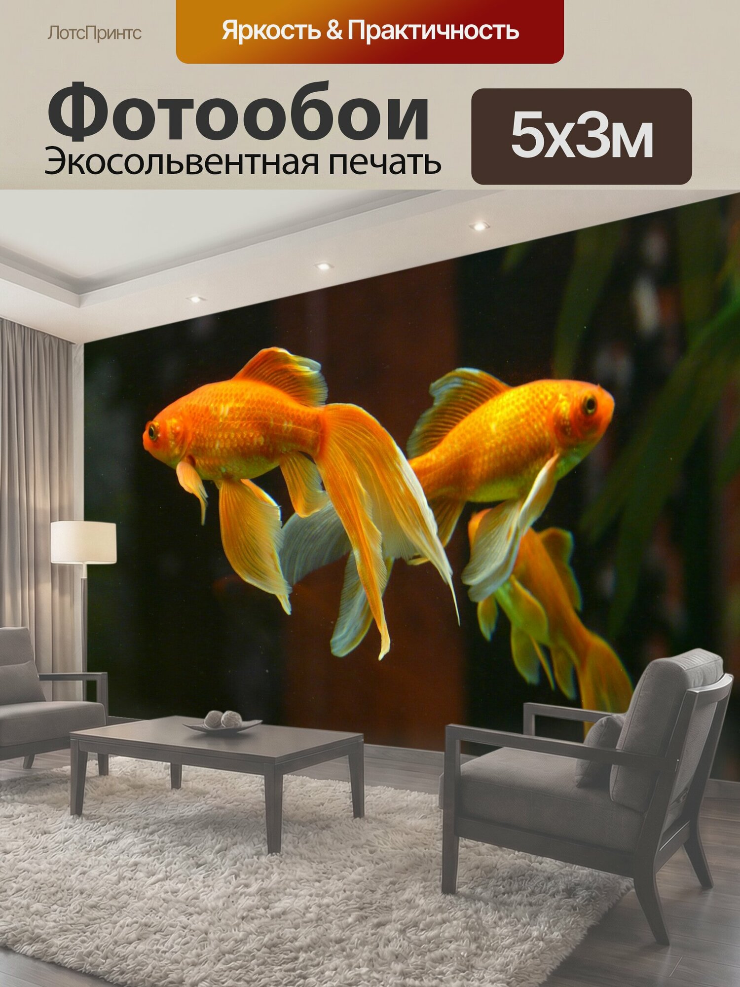 Фотообои "Вуаль хвоста, рыбы, золотая рыбка" 500x300 см. экосольвентная печать