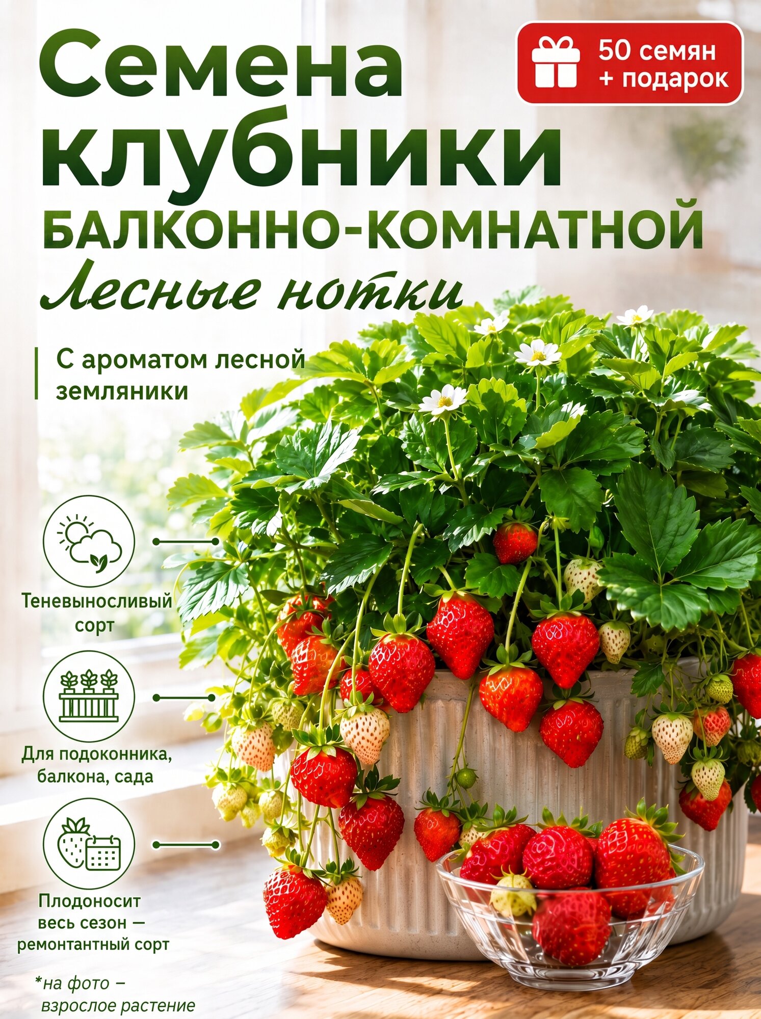 Клубника балконно-комнатная Лесные нотки, Семена, 50 шт, семена ягод