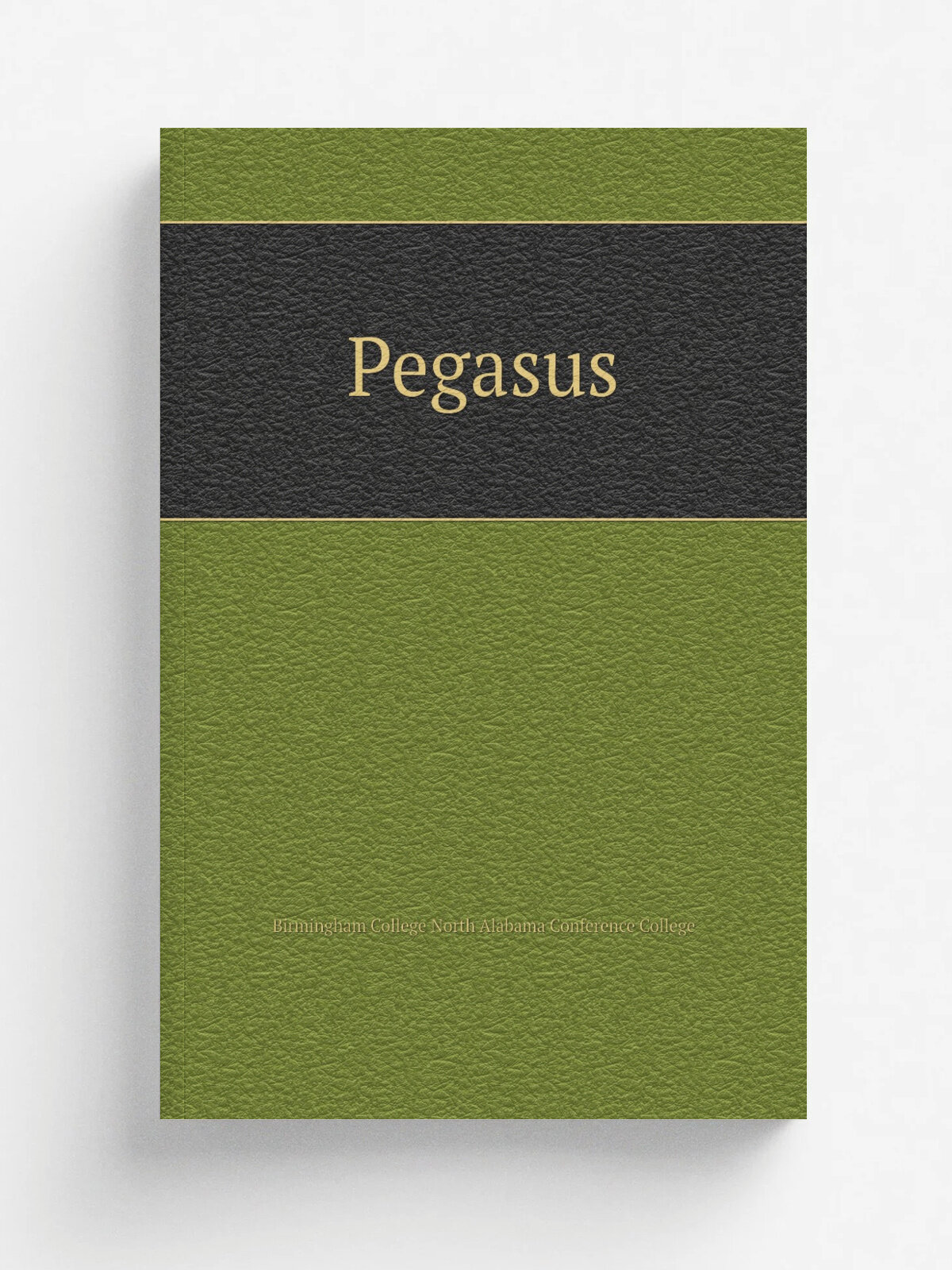 Pegasus | Birmingham College North Alabama Conference College | 1907 | Owenton College . Birmingham College. | Репринт