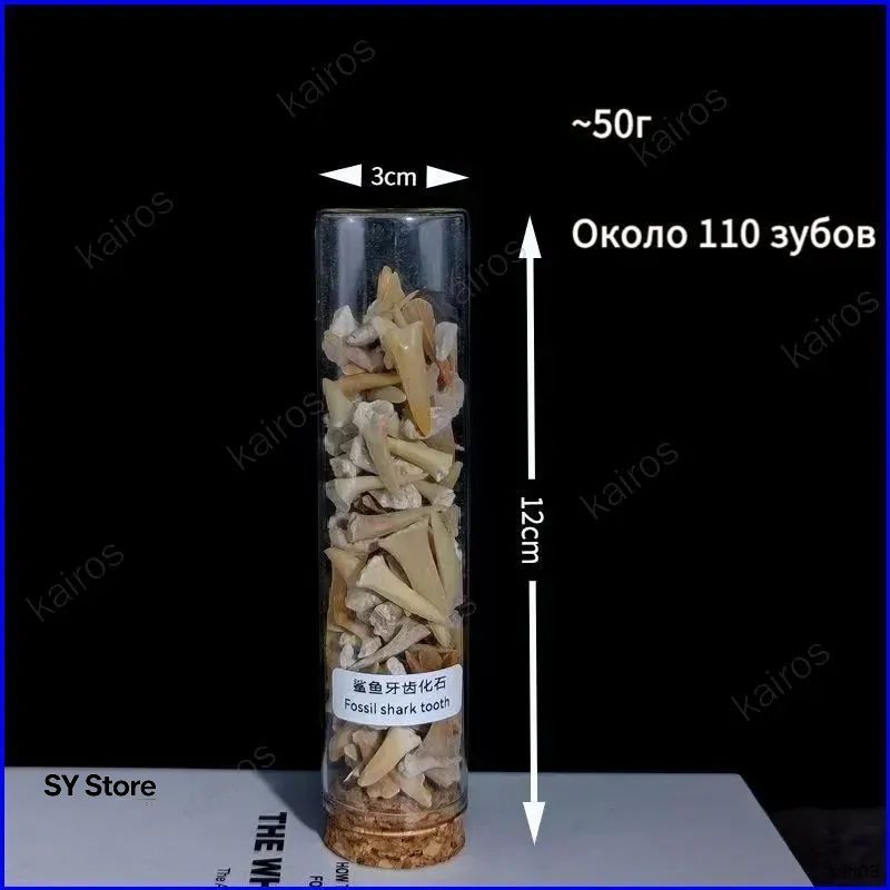 Настоящие окаменелости зубов акулы в стеклянной бутылке, 110 штук ( 50г), палеонтологический образец, коллекционный