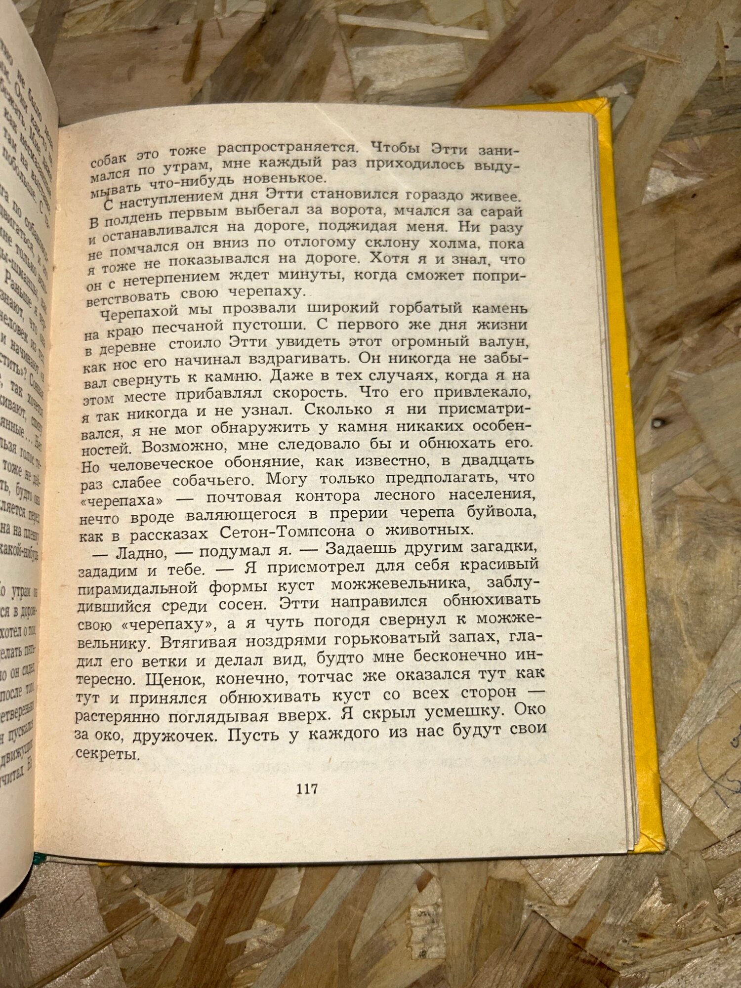 Барьер трех минут — фото 1