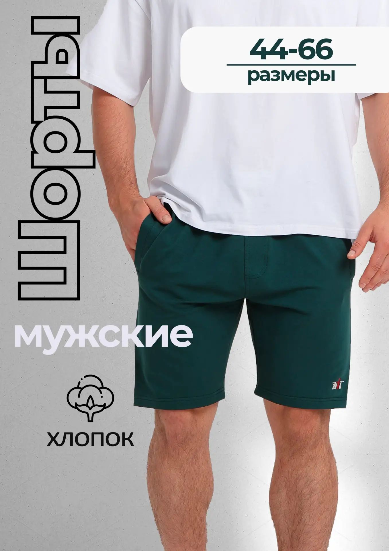 Шорты