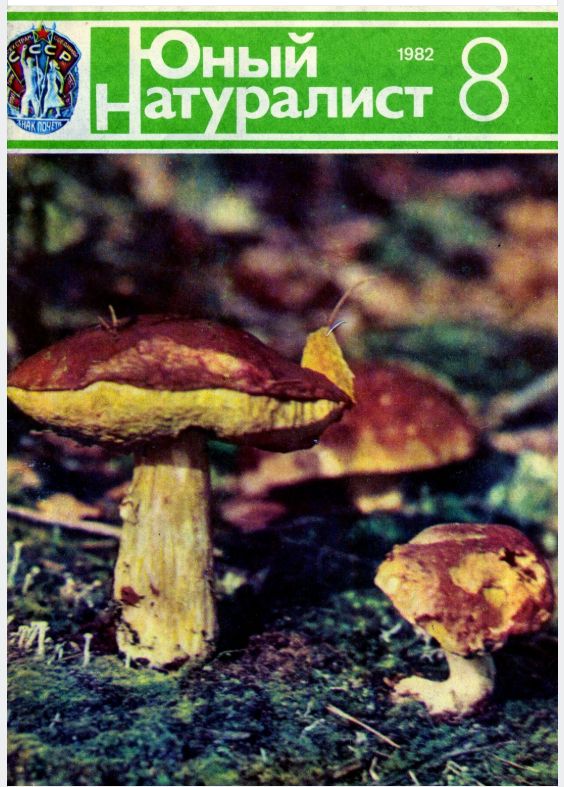 Журнал Юный натуралист №08 1982 г.