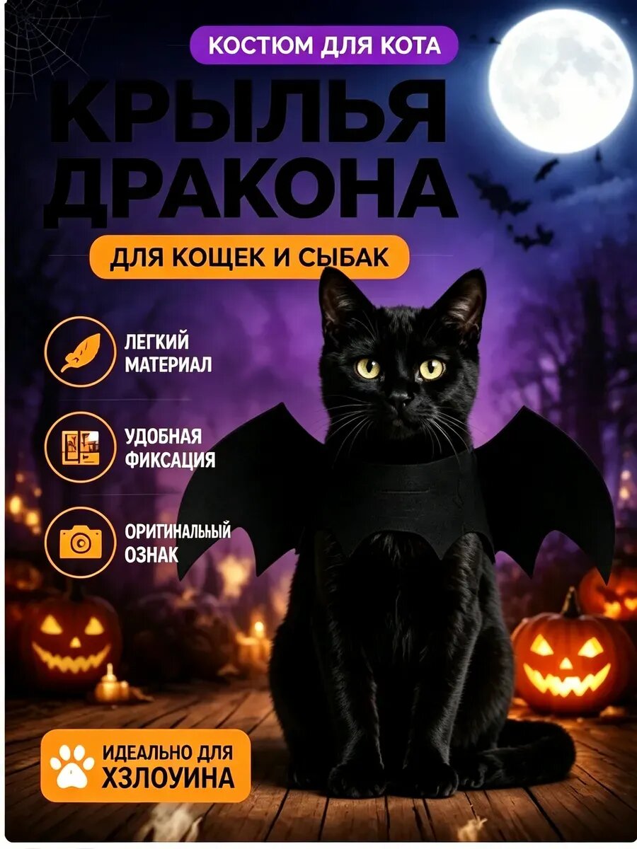 Костюм для кота на хэллоуин крылья дракона