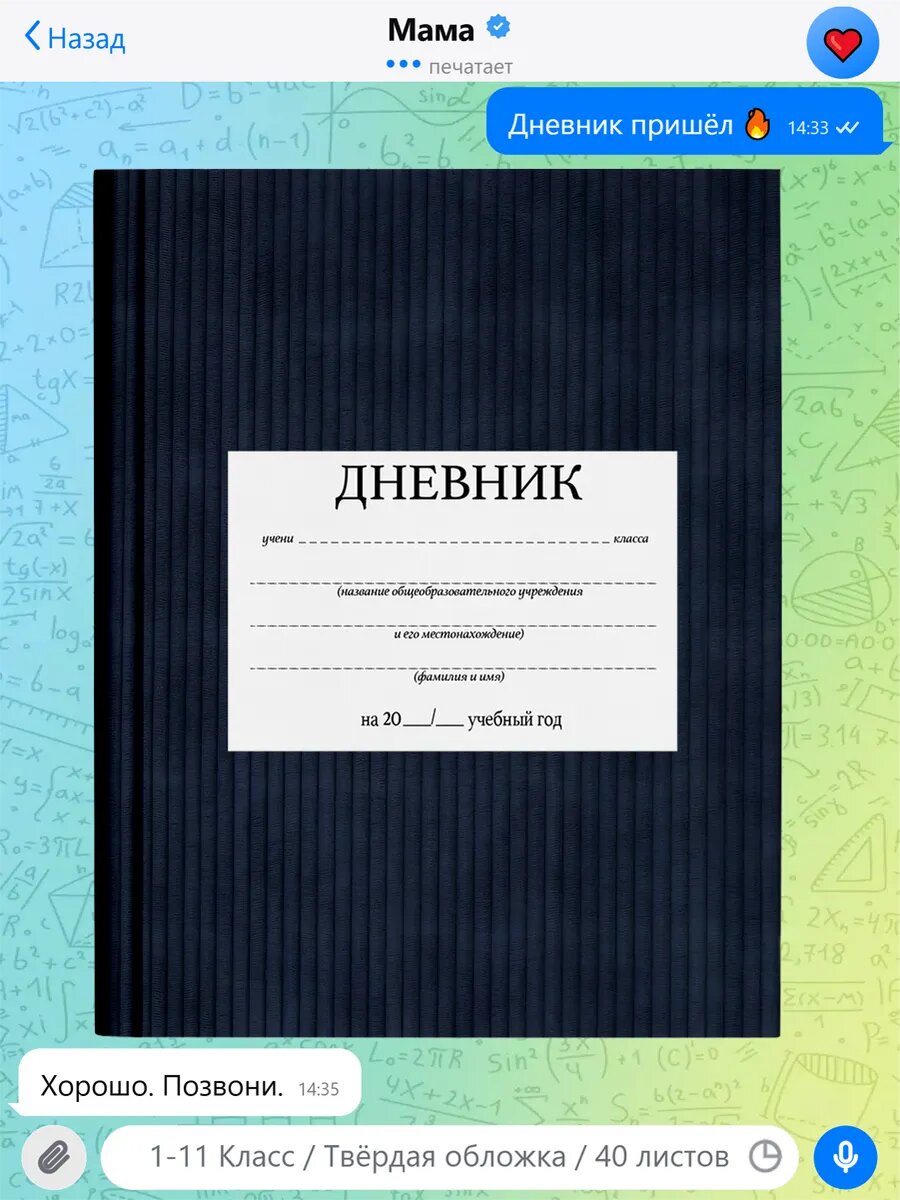 Школьный дневник с принтом y2k pinterest