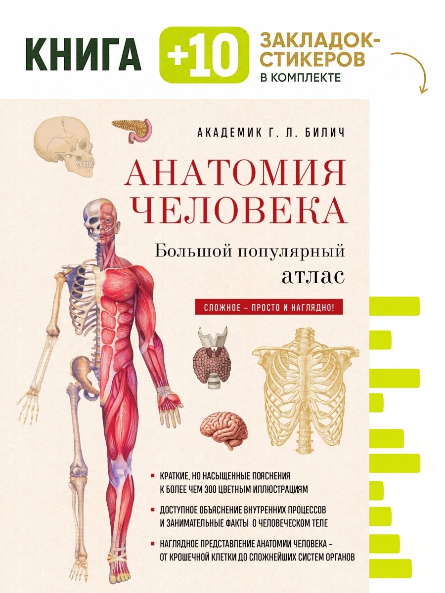 Анатомия человека: большой популярный атлас (новое оформление). Комплект: книга + 10 закладок-стикеров