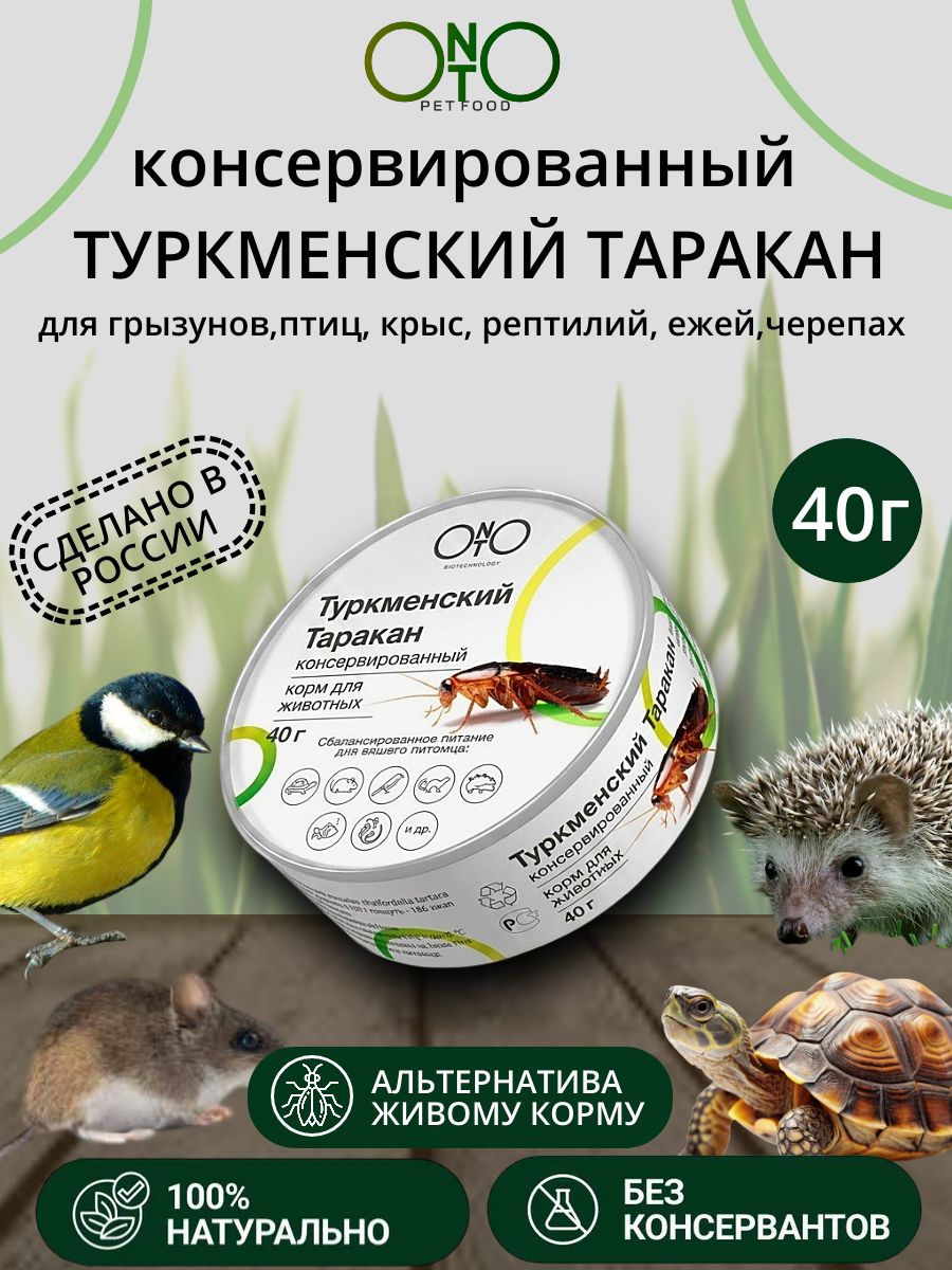 Консервированный туркменский таракан ONTO 40 г, для насекомоядных животных