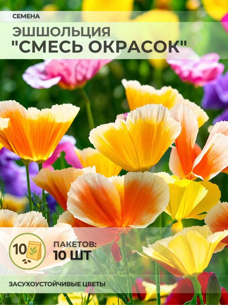 Эшшольция "Смесь Окрасок", яркие шелковистые цветы, засухоустойчивый сорт, 10 упаковок по 0,2 г. семян.