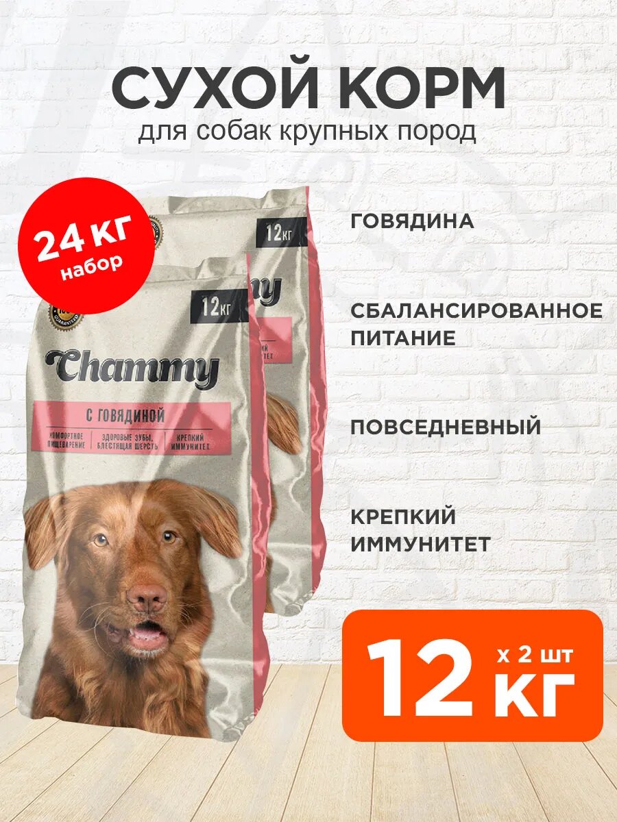 Корм сухой Chammy для взрослых собак крупных пород, говядина, 12 кг 2 шт