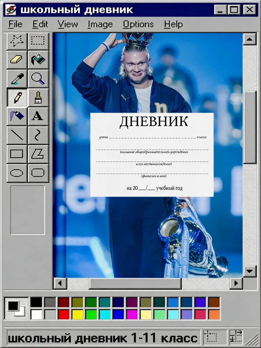 Дневник школьный 1-11 класс футбол