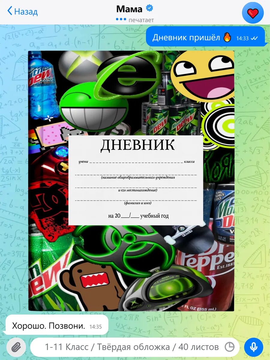 Школьный дневник с принтом Роблокс